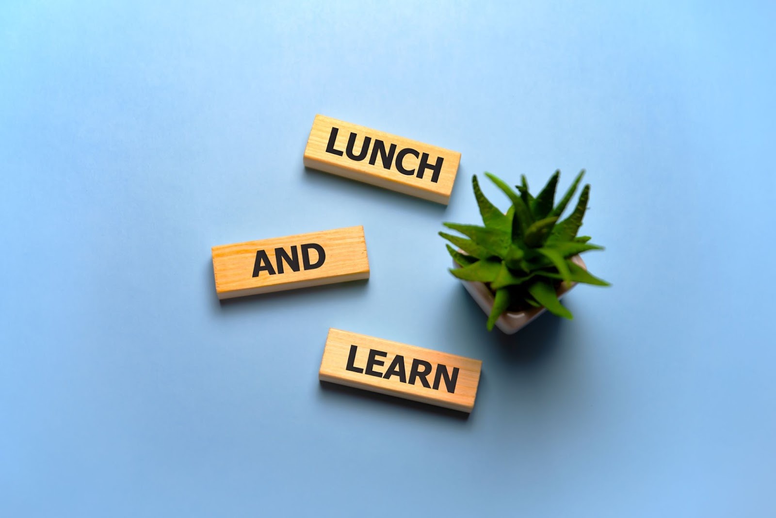 How to Host a Virtual Lunch That Builds Team Culture