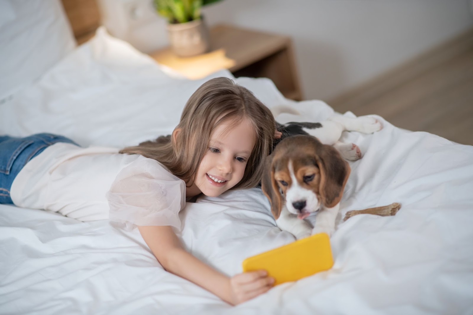 Fun Virtual Classroom Activity Ideas That Engage Students