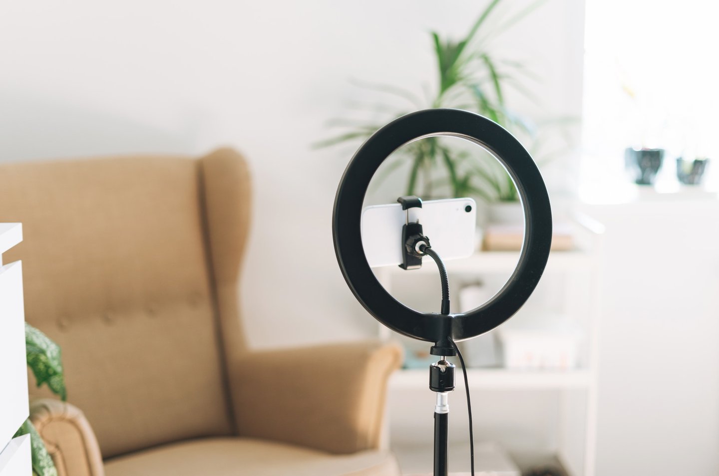 Top 10 Ring Lights for Video Conferencing & Streaming (2026 Guide)